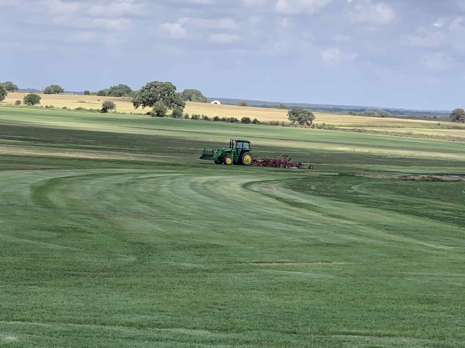 New Zoysia Grass Putting Surfaces For Home Lawns | Zoysia Grass Sod